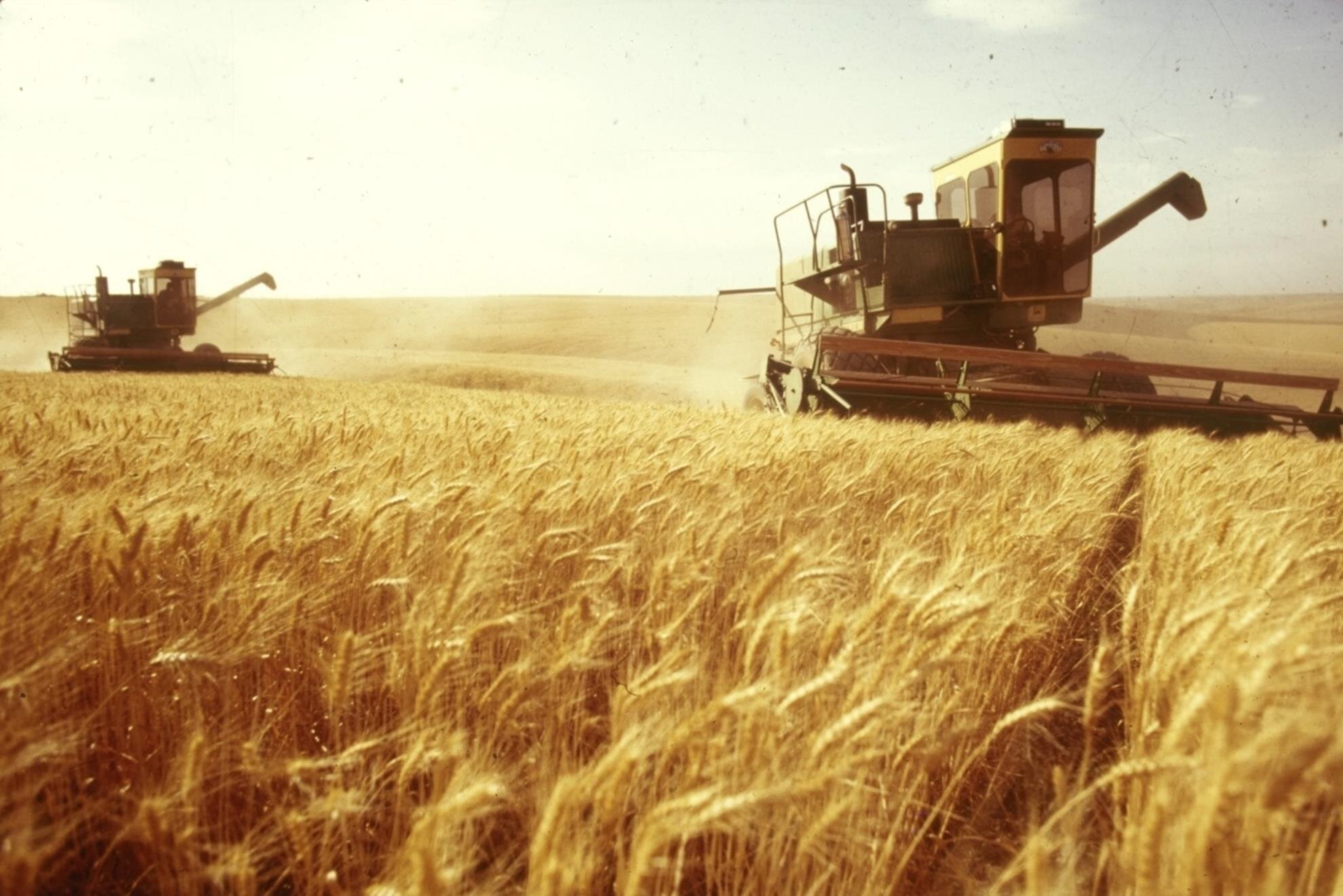 Projected Yield And Export Potential What Is The Ukrainian Grain Projected Yield And Export Potential What Is The Ukrainian Grain