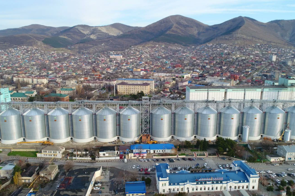 The largest grain terminal of russian federation cut its profit in half ...