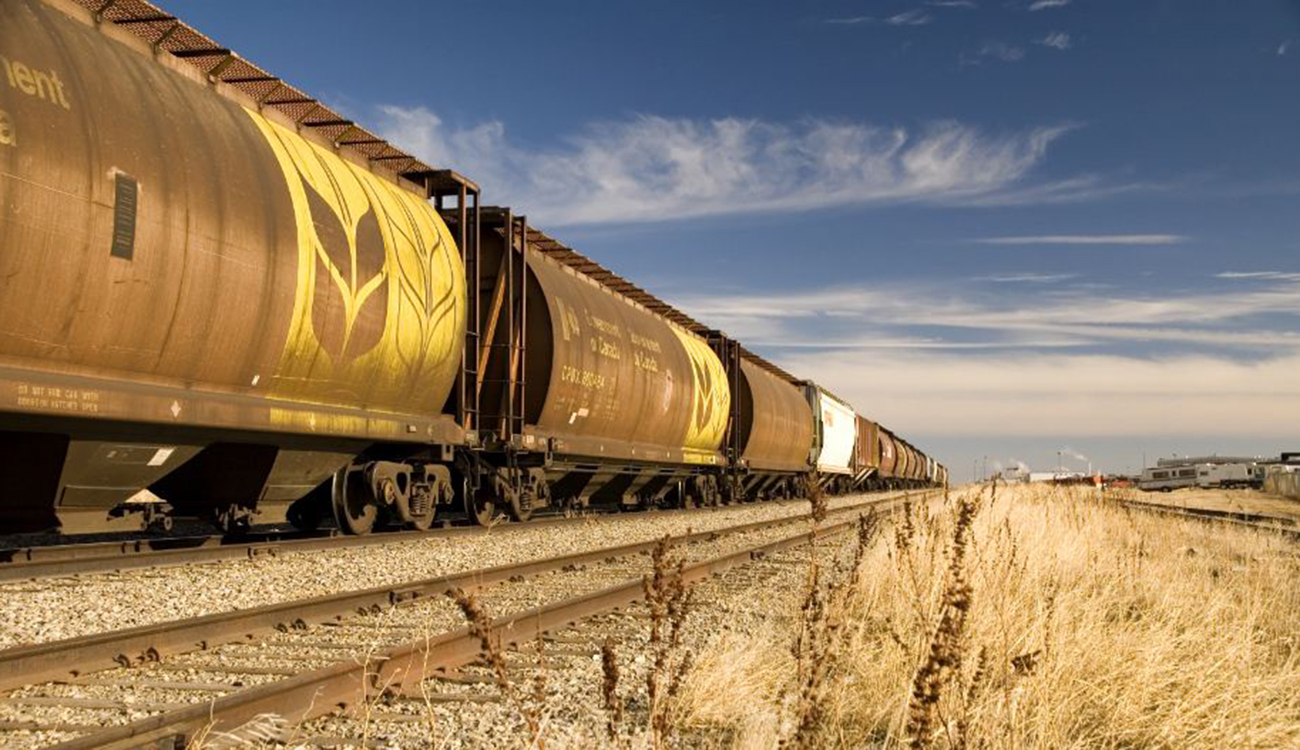 Export grain transportation by rail increased by 30% | Ukrainian and ...