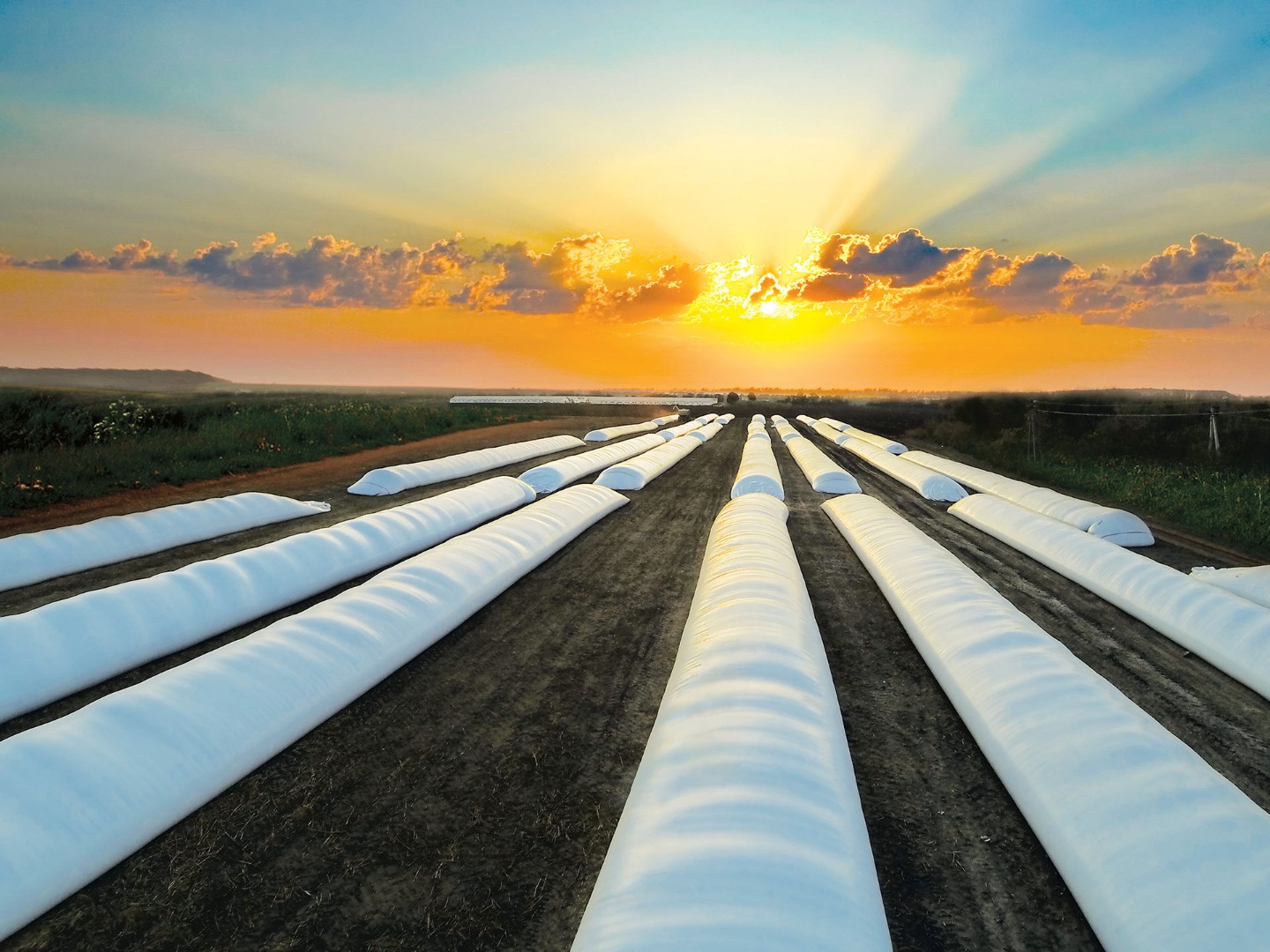 Ukrainian farmers have already received more than 6,000 grain sleeves ...