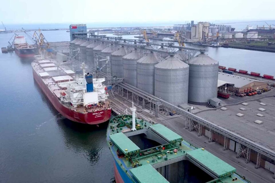 During the year, 11 million tons of Ukrainian grain were exported ...