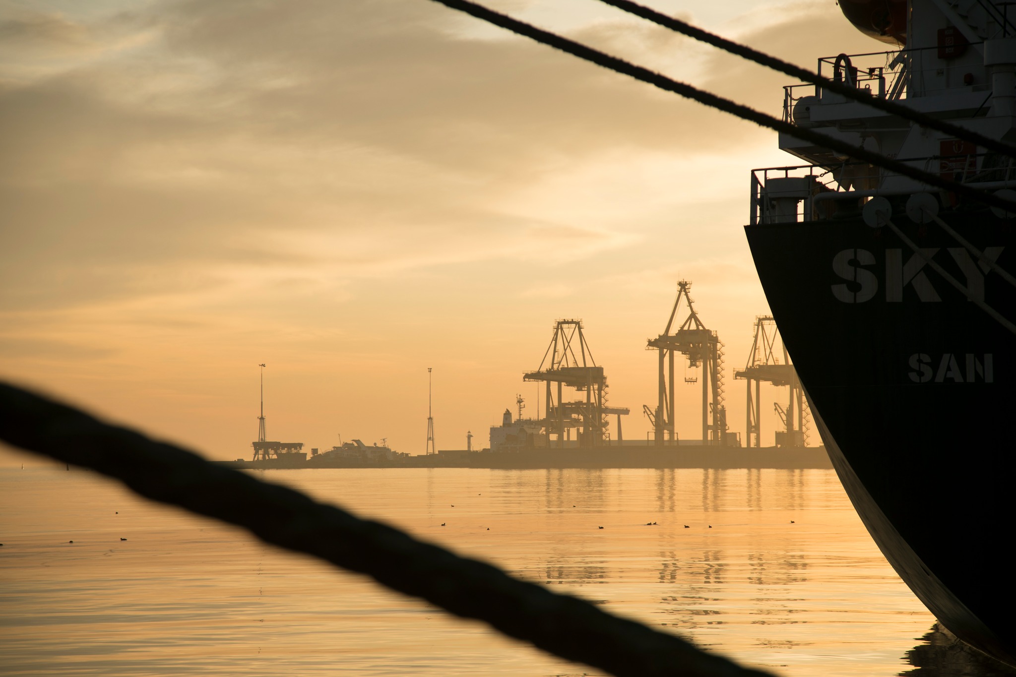 Photo of the day: what one of the ports of Great Odesa looks like now ...