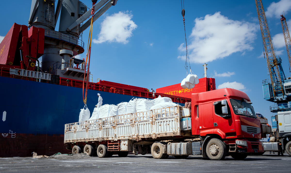 Humanitarian aid from Ukraine arrived at the port of Sudan | Ukrainian ...