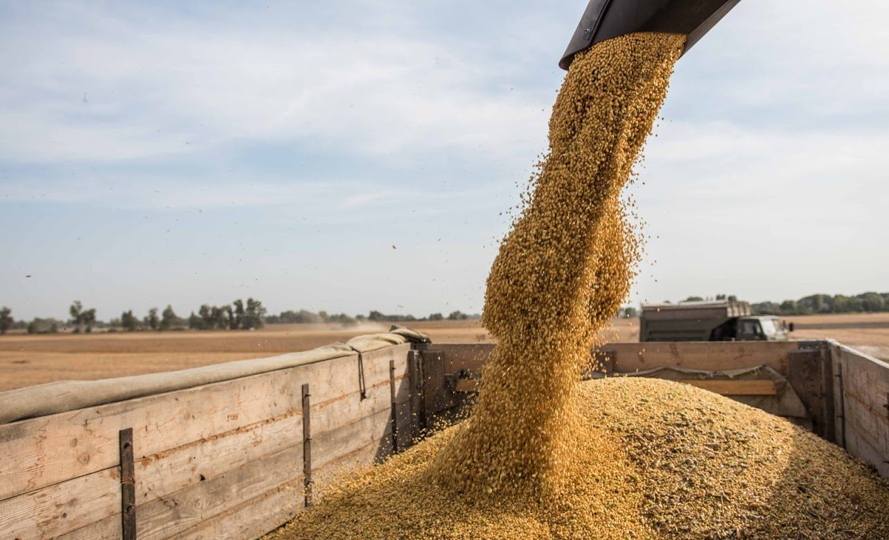 The EU will introduce tariffs on the import of Russian grain ...
