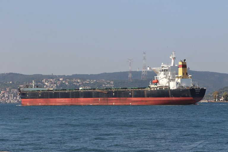 The largest ship passed through the Ukrainian maritime corridor ...