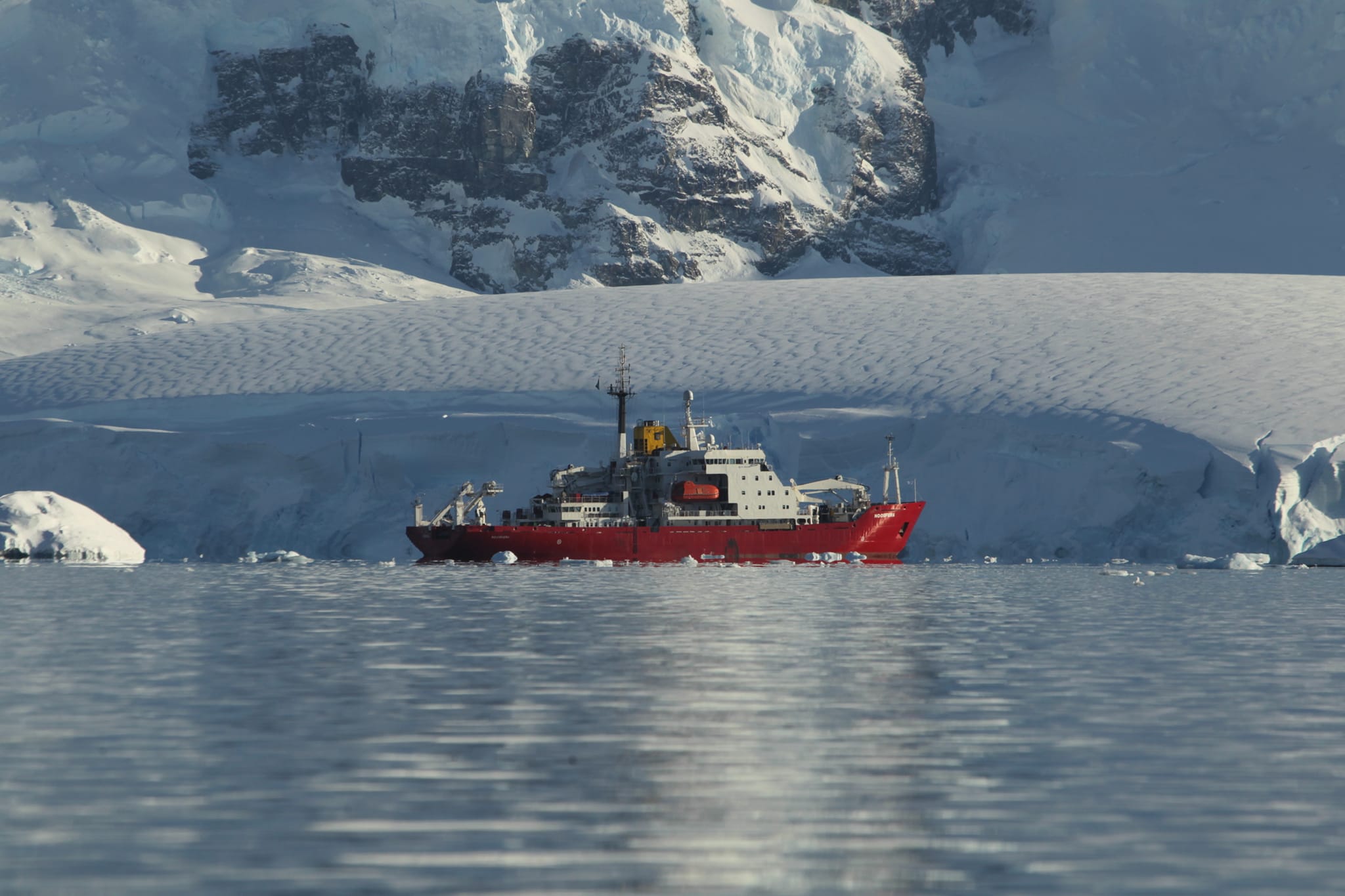 Ukrainian icebreaker recorded singing of rare whales | Ukrainian and ...