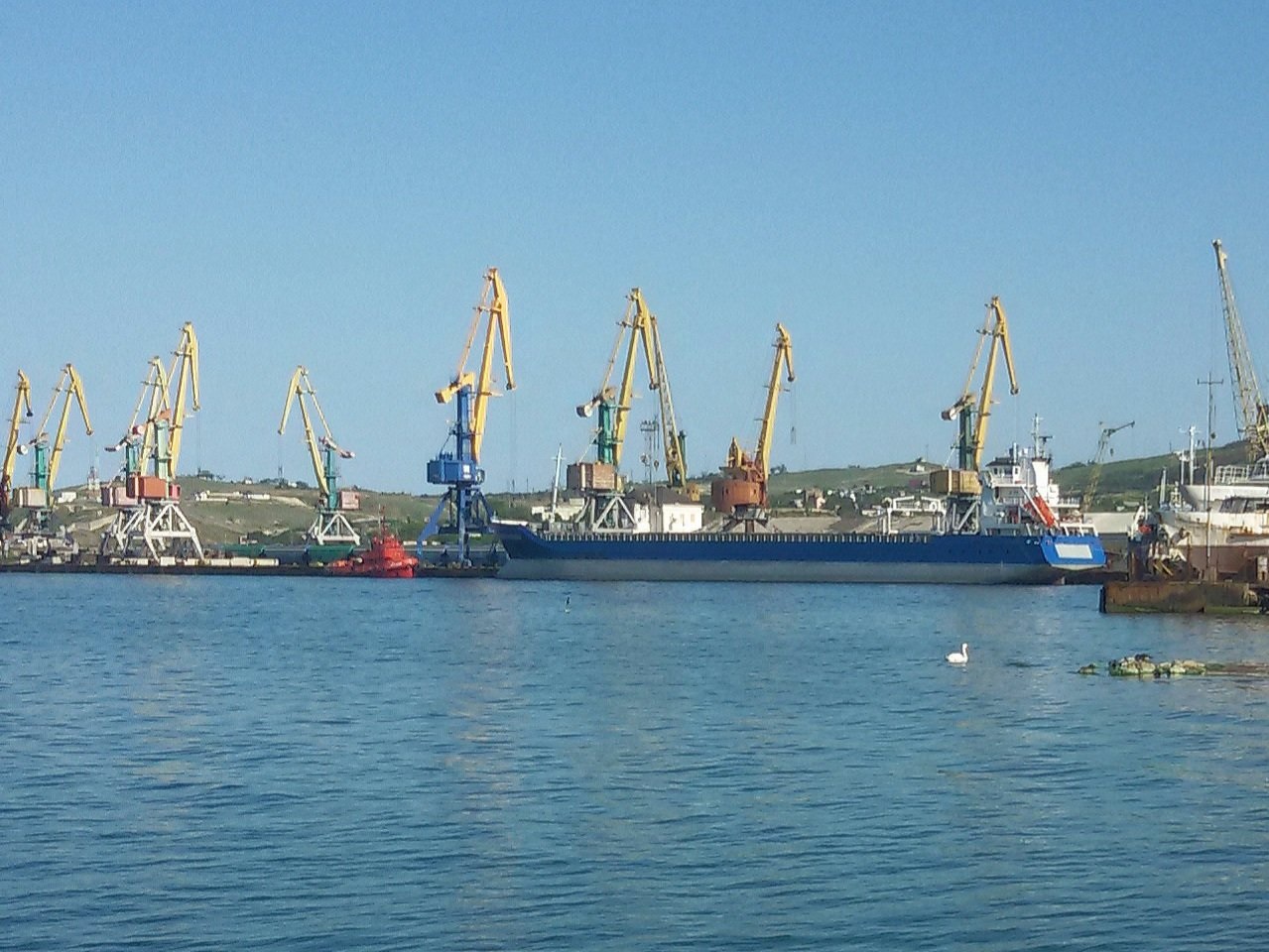 Another grain-stealing ship was spotted in the port of Feodosia ...