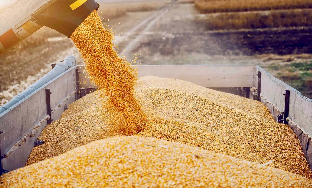 EU has published quotas for Ukrainian agricultural products until the ...