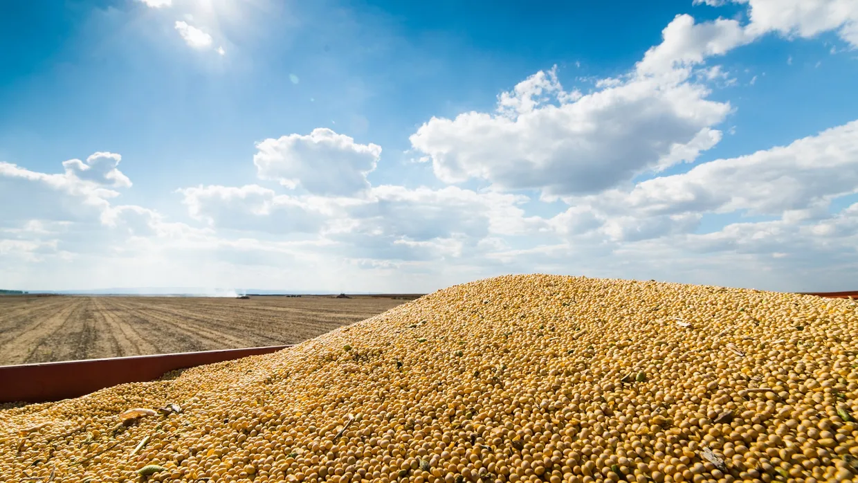 Ukraine has exported over 32 million tons of grain since the beginning ...