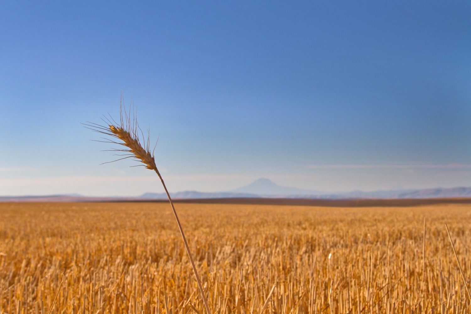Ukraine exported more than 14 million tons of grain since the beginning ...