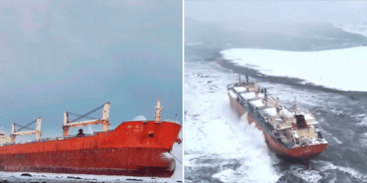 Chinese bulk carrier carrying dangerous cargo runs aground in Russia ...