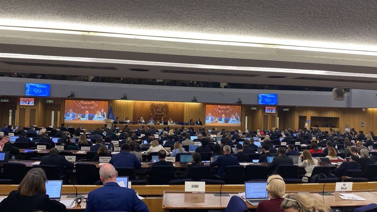 IMO approves Guidelines on the Fair Treatment of Detained Seafarers ...