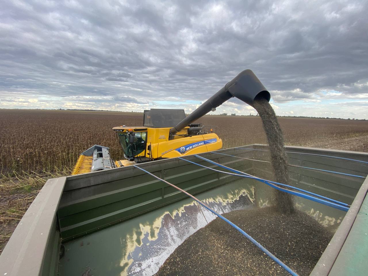 Shares of agricultural holding IMC increased by a third on the Warsaw ...