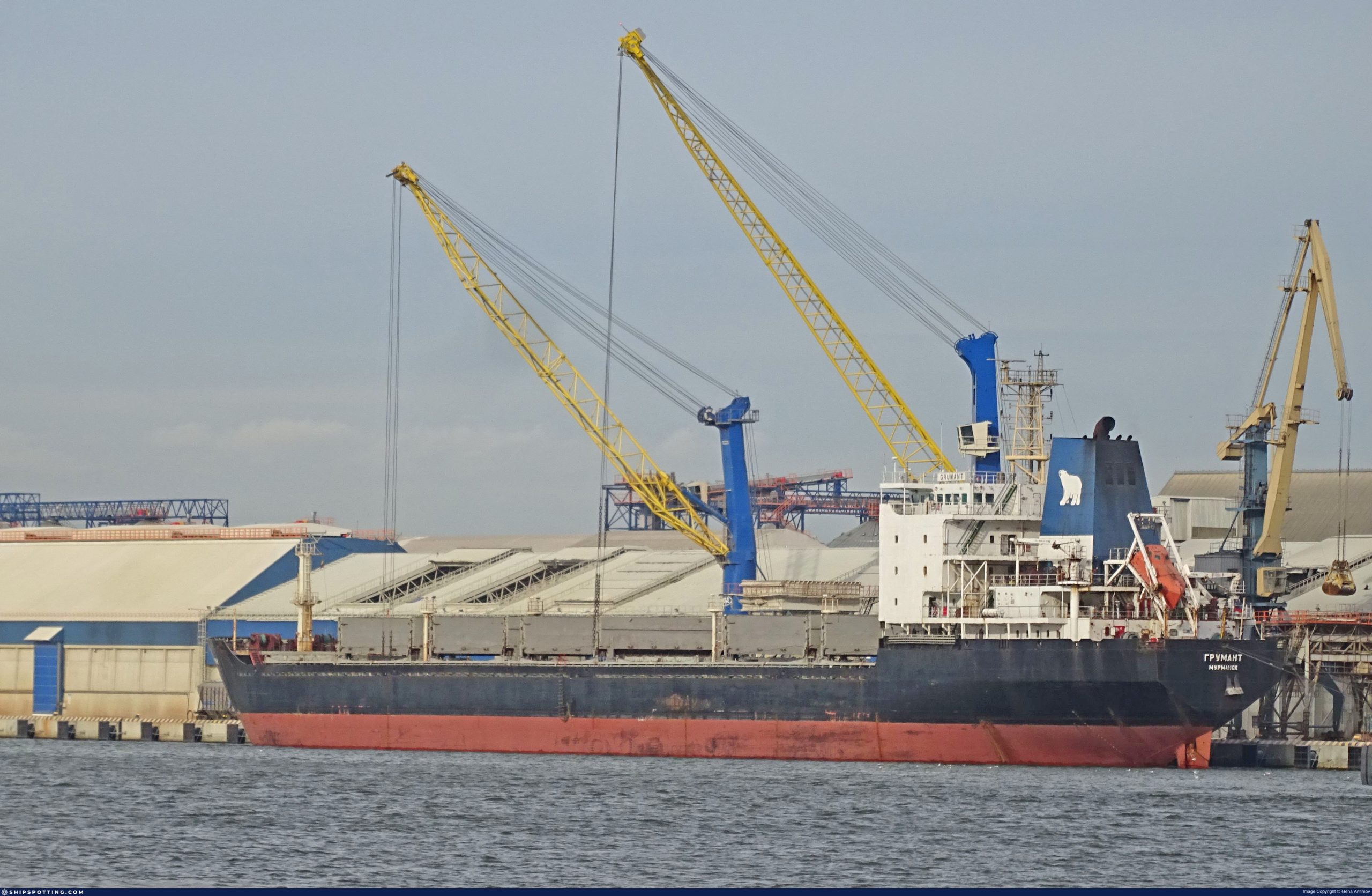 Russian bulk carrier with stolen Ukrainian grain spotted in Libya ...